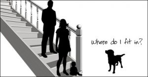 How Dogs Learn: The Hierarchy - FamilyDogFusion